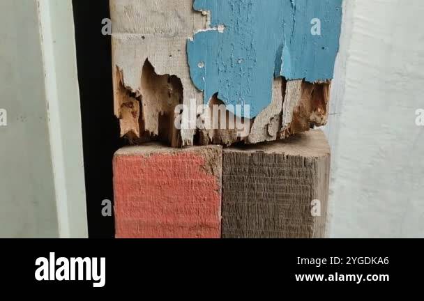 porous wood. this is because the wood is eaten by termites (Isoptera ...