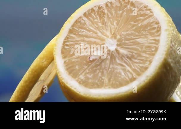 A slice of fresh lemon, bright yellow and vibrantly citric, lies ...
