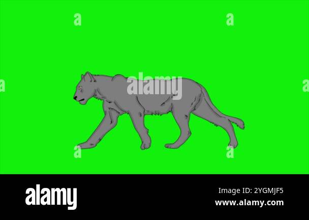 2d Animation A Gray Tiger Running In Place With Repetitive Motion ...
