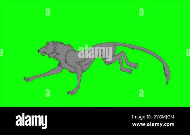 2d Animation Of A Fictional Gray Furry Animal With A Long Tail, Running ...