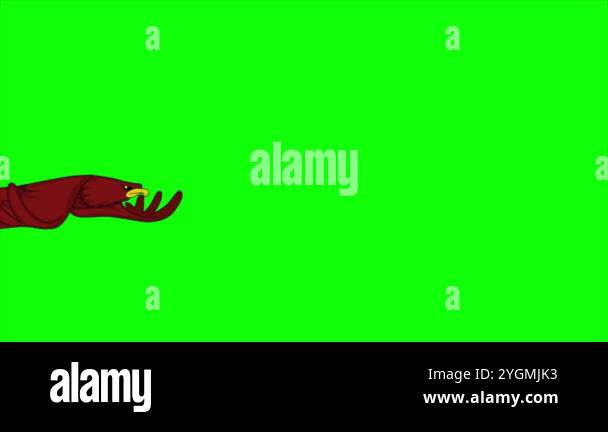 Maroon vector Stock Videos & Footage - HD and 4K Video Clips - Alamy