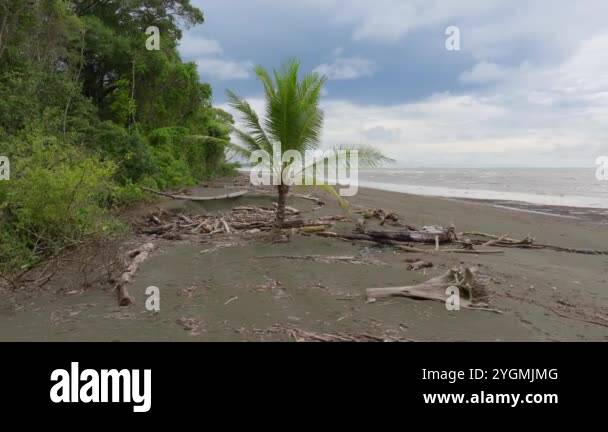 Explore the stunning landscapes of Corcovado National Park, where ...
