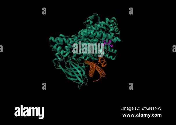 Human PI3K delta in complex with pyrisazinone inhibitor. Catalytic ...
