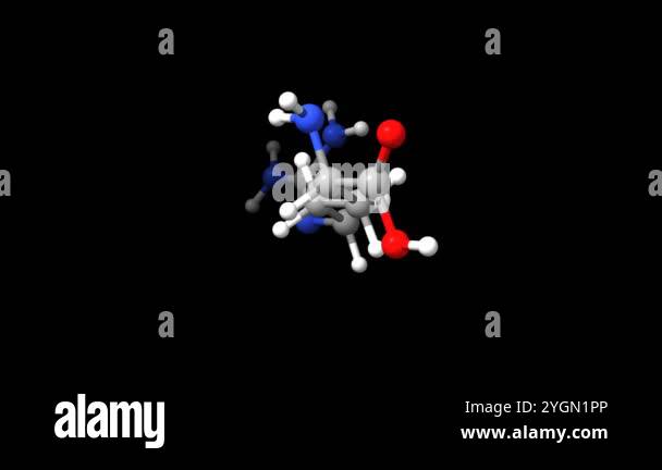 Structure of the amino acid DL-arginine. Animated 3D ball-and-stick and ...