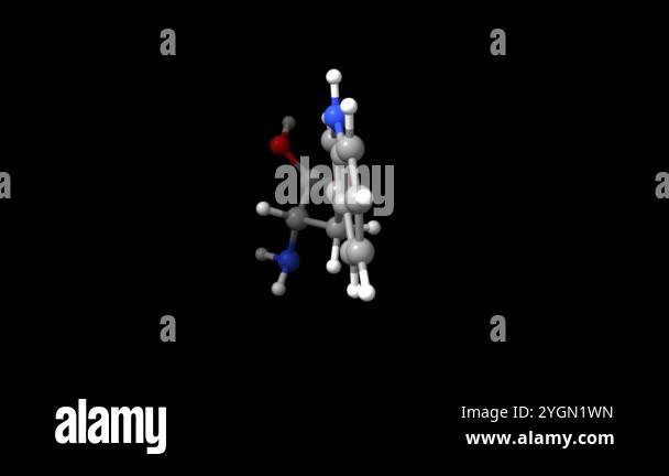 Structure of the amino acid DL-tryptophan. Animated 3D ball-and-stick ...