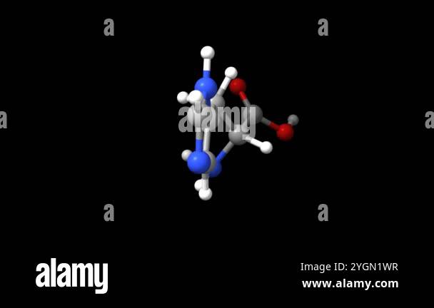 Structure of the amino acid DL-histidine. Animated 3D ball-and-stick ...