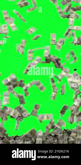 100 Dollar Bills On Green Screen. 3D animation money rain, business ...