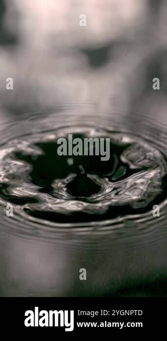 A water droplet splashes into the surface, creating stunning concentric ...