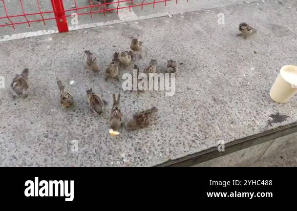 Background concrete slab Stock Videos & Footage - HD and 4K Video Clips ...