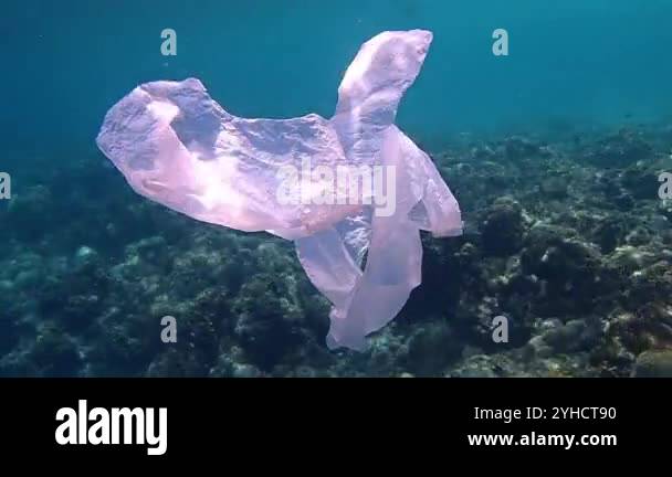 Single use plastic disposal Stock Videos & Footage - HD and 4K Video ...