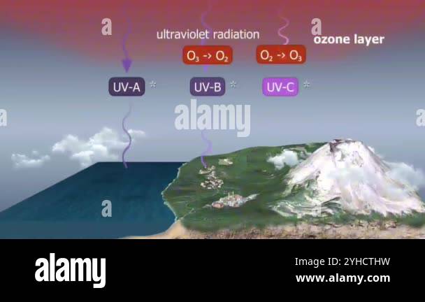 The ozone layer is a protective shield in the Earth's stratosphere ...