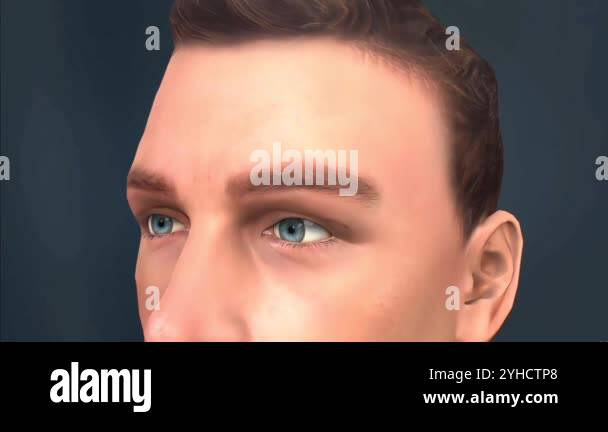The human eye vision mechanism involves light entering through the cornea, focusing via the lens ...