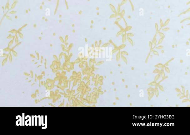 stop motion grunge floral abstract background loop animation overlay ...
