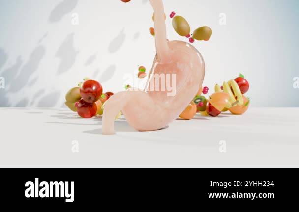 Stomach with fruits, Losing weight and nutrition, Healthy food for ...