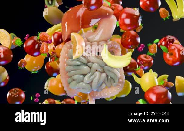 Stomach with fruits, Losing weight and nutrition, Healthy food for ...