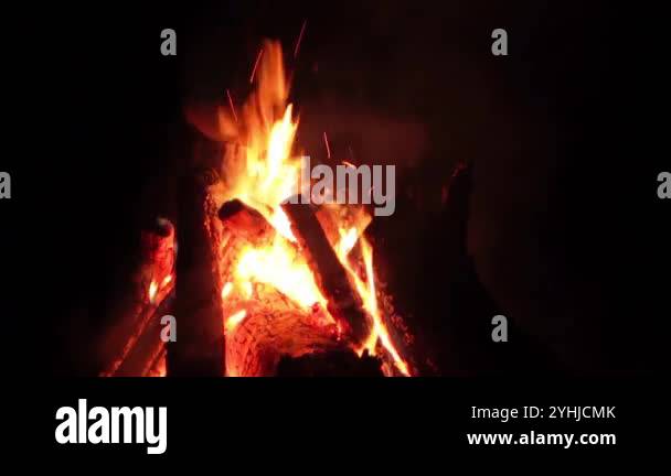 Night Bonfire Burns in the Dark Forest. Flaming Campfire at Nighttime ...