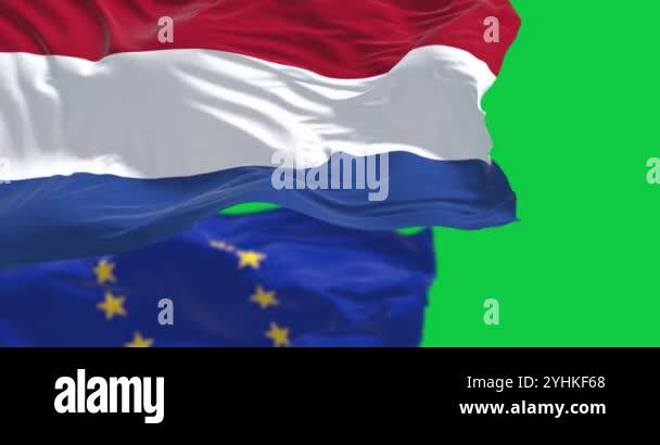 Flags of the Netherlands and the European Union waving in the wind ...