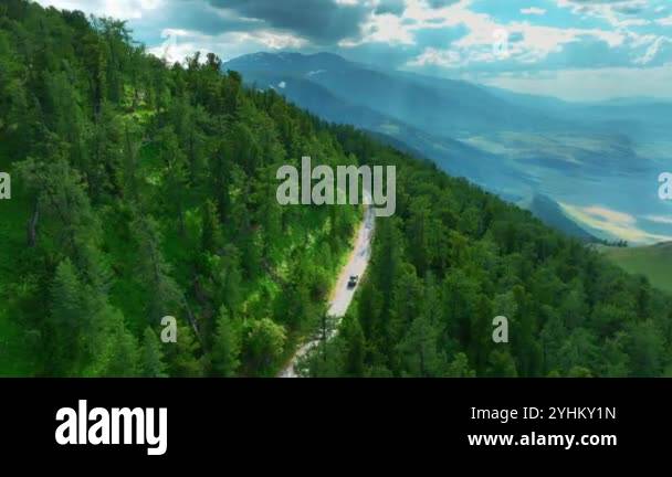 Road green fir trees Stock Videos & Footage - HD and 4K Video Clips - Alamy