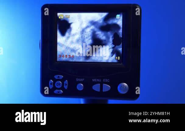 Small marine organisms, zooplankton and phytoplankton. Plankton on ...