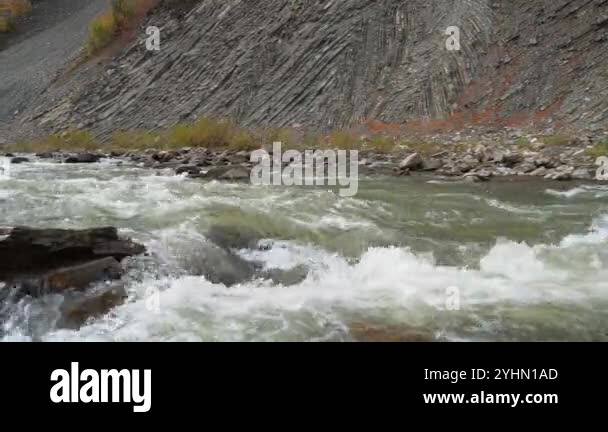Beautiful mountain river with rapid current. The Prut river and ...