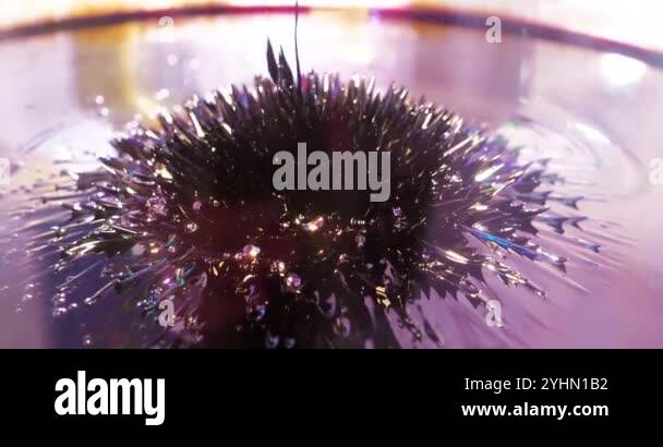 Ferromagnetic fluid. Real ferromagnetic fluid in action. Viscous ...