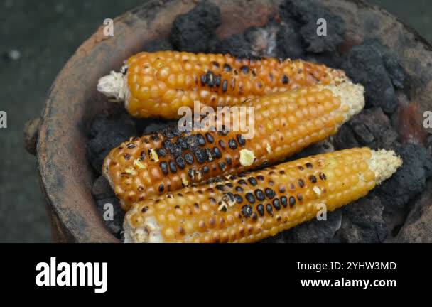 Corn cobs being grilled on a coal stove.Fresh roasted corncobs on coal ...