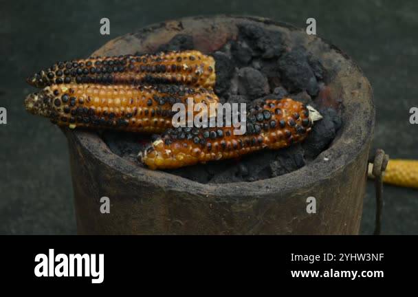 Corn cobs being grilled on a coal stove.Fresh roasted corncobs on coal ...