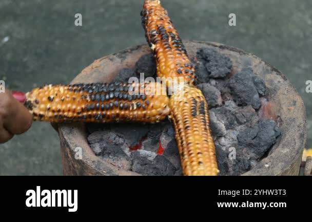 Corn cobs being grilled on a coal stove.Fresh roasted corncobs on coal ...
