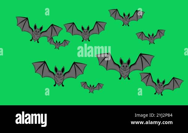 Spooky cartoon Bats fly on a green screen. Bats fly transition with key ...