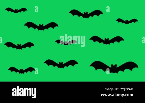 Spooky cartoon Bats fly on a green screen. Bats fly transition with key ...