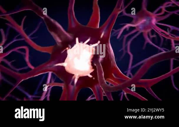 Macro Animation Neurons in the Brain. Cells Sending Electrical and Chemical Signals. 3d render ...