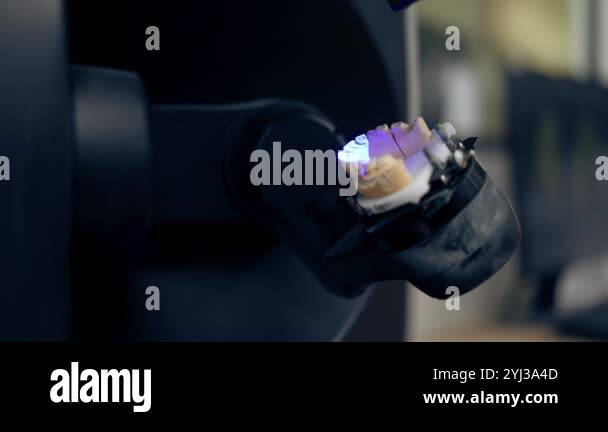close up professional laboratory for the production of dental protozoa ...