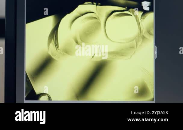 close up professional laboratory for the production of dental protozoa ...