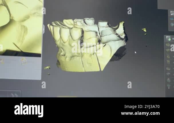 close up professional laboratory for the production of dental protozoa ...