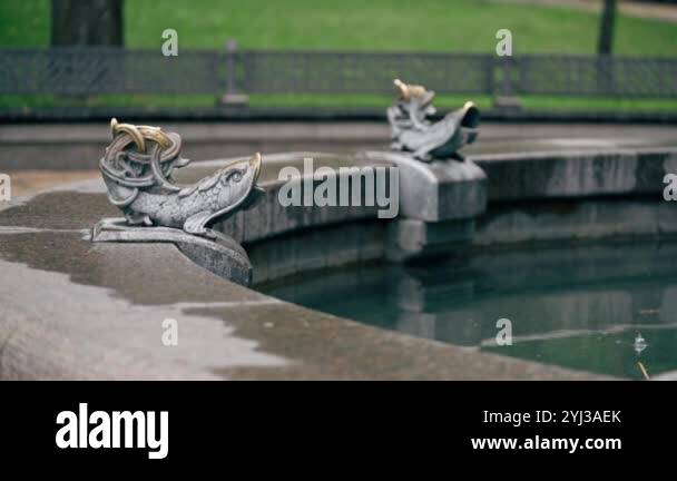 close up urban a summer landscape city center soviet architecture ...