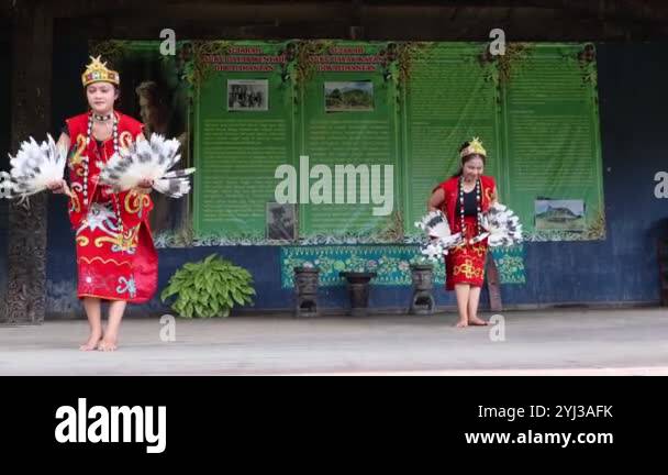 Balikpapan-east Kalimantan November 03,2024 A Portrait of a borneo dayak tribe dancer ...