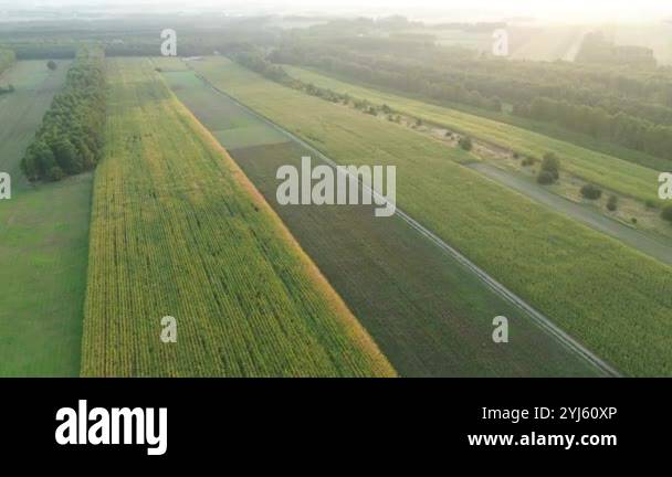 Path crossing Stock Videos & Footage - HD and 4K Video Clips - Alamy