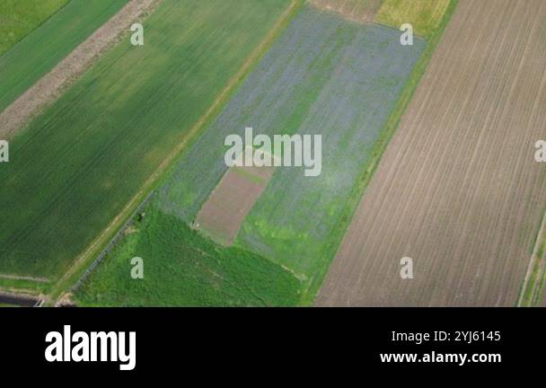 Crop rotation techniques Stock Videos & Footage - HD and 4K Video Clips ...