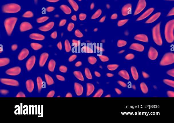 A smooth, abstract animation of organic, natural textures inspired by ...