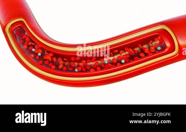 A 3d animation of microscopic view reveals a bustling highway of blood ...