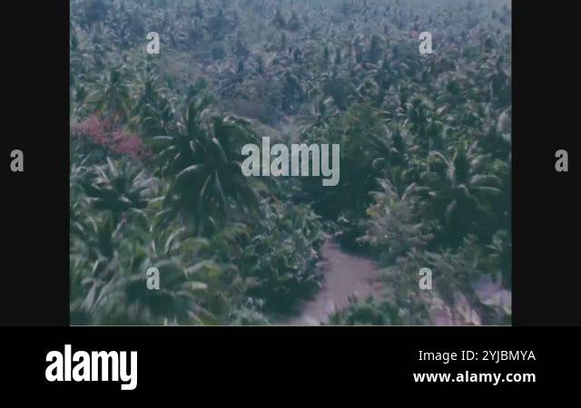 Napalm is dropped on villages during the Vietnam War causing massive ...