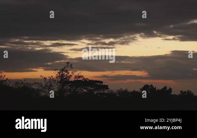 Endurance course Stock Videos & Footage - HD and 4K Video Clips - Alamy