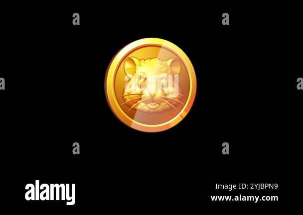 Logo Hamster kombat Cryptocurrency Animated on Transparent Background ...