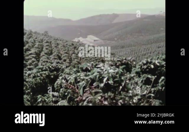 BRAZIL - 1960s - A montage of different regions in Brazil shows the ...