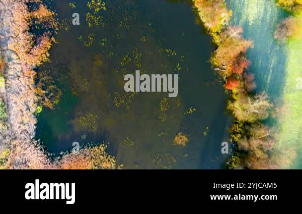 Top view yellow marsh Stock Videos & Footage - HD and 4K Video Clips ...