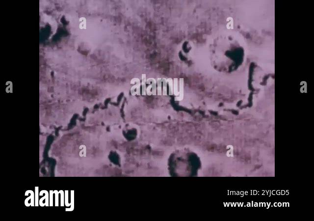 1974 - A scale model of Mars, created with the use of satellite images ...