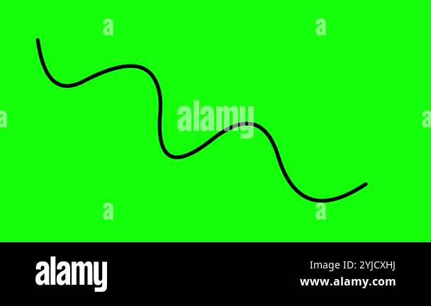 video animation drawing black curved line contour, on a green chroma ...