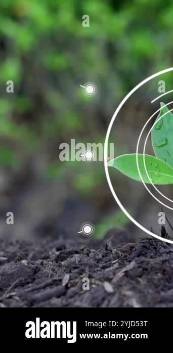 Smart digital agriculture technology by futuristic sensor data ...