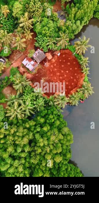 Poor little houses located at the waterfront with tropical trees ...