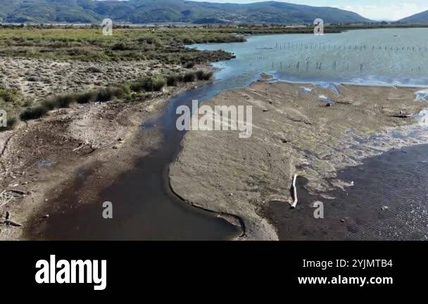 Marshy coastal plain Stock Videos & Footage - HD and 4K Video Clips - Alamy